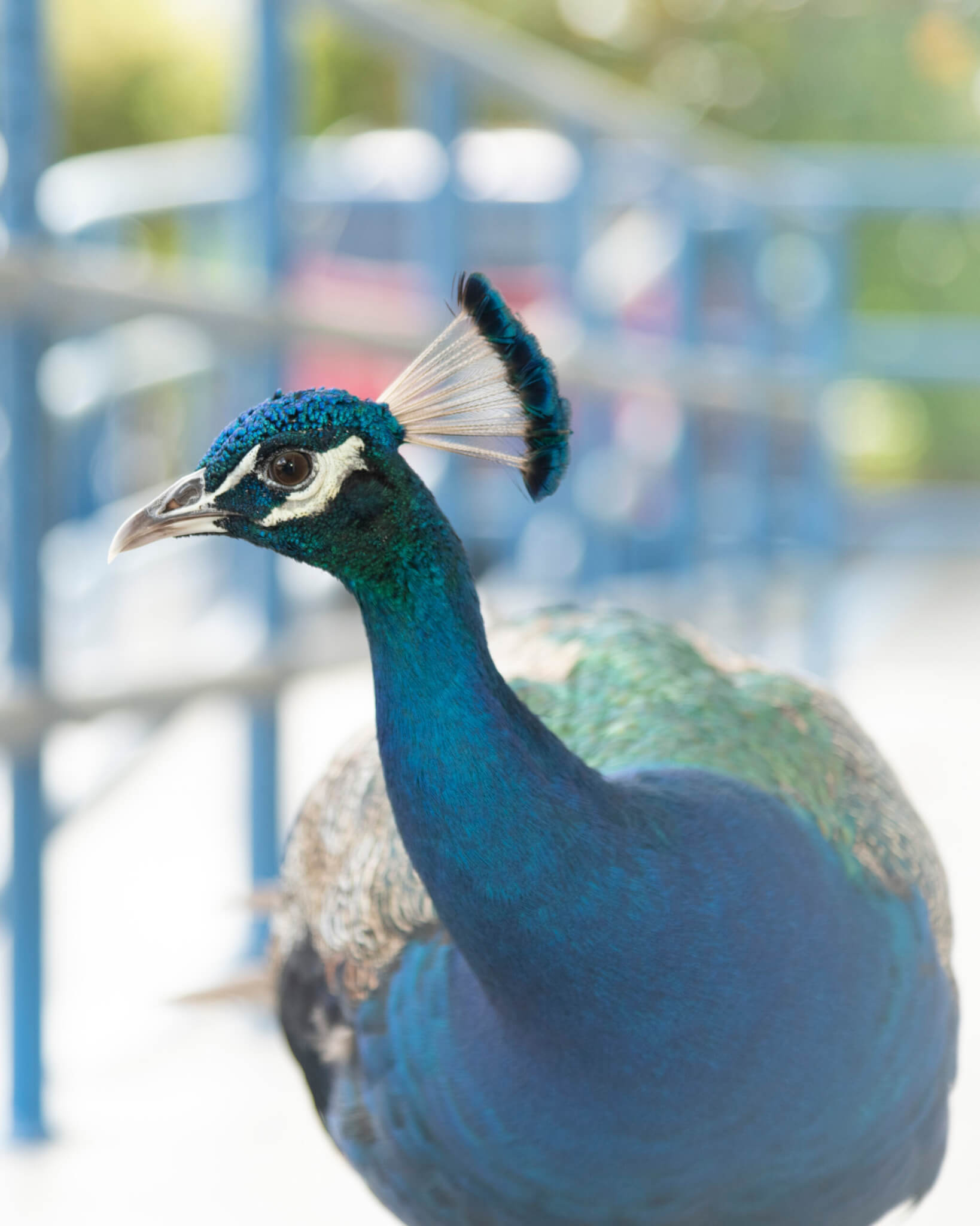 GUS - Perry Roofing Contractors